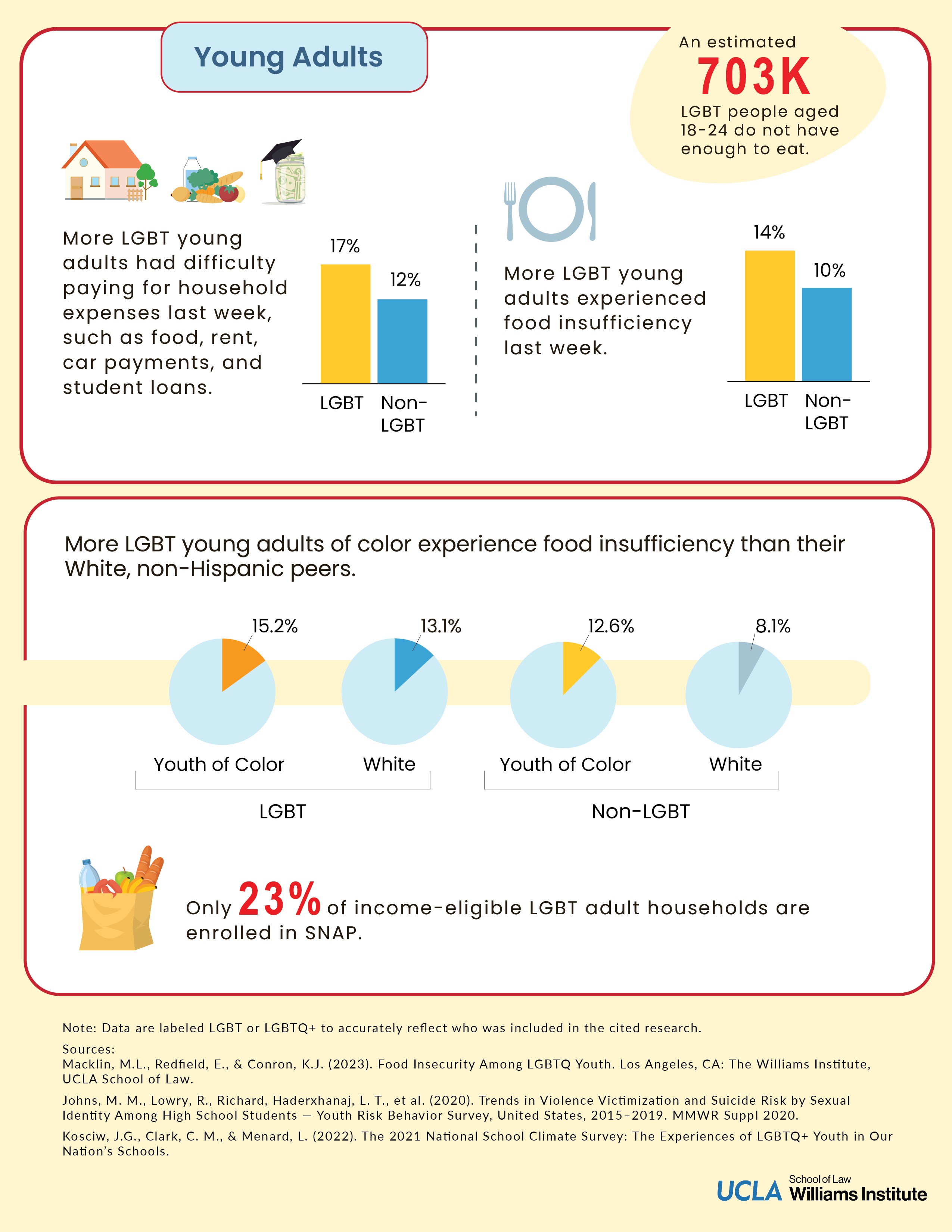 Food Insecurity Among LGBTQ Youth | No Kid Hungry Center for Best Practices