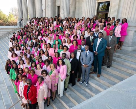 Alpha Kappa Alpha Sorority, Inc.®, South Atlantic Region | No Kid ...